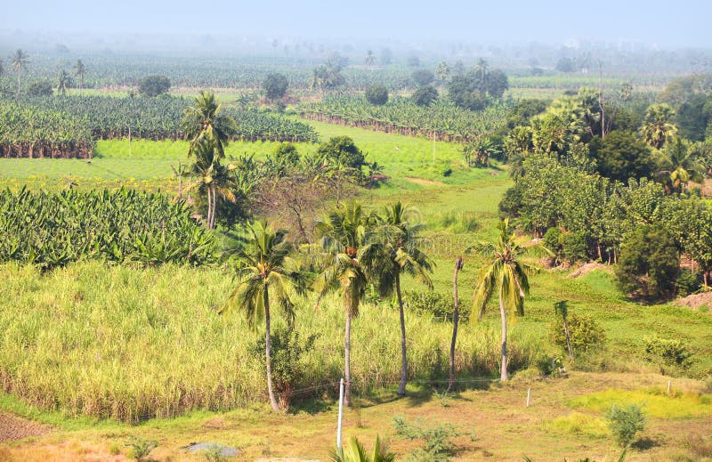 Rural farm lands in India stock image. Image of agriculture - 86310249