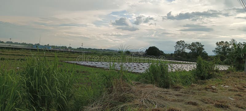A Rural Farming Area of Central Luzon in the Philippines Stock Image ...