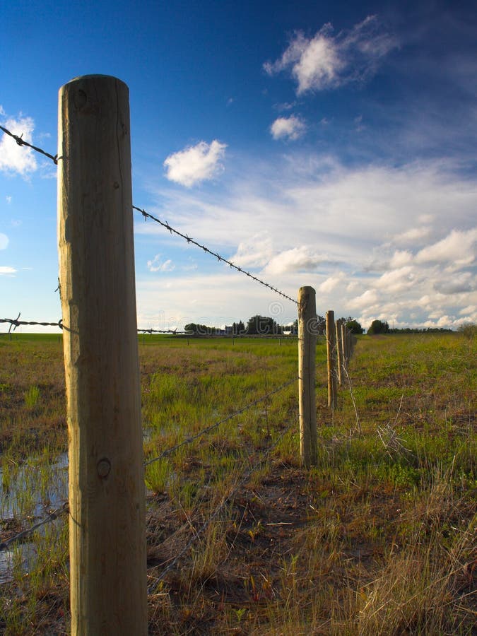 Rural Fenceline stock image. Image of rural, agriculture - 415321