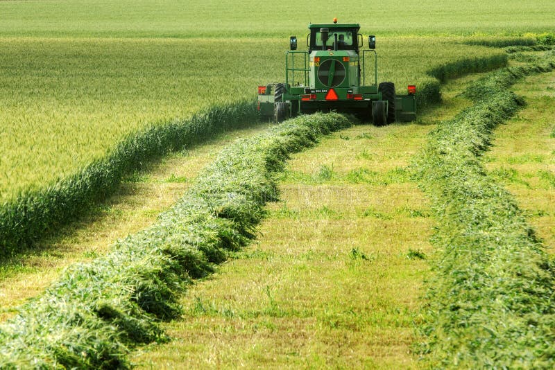 Rural field. stock image. Image of middle, agrimotor - 10982225