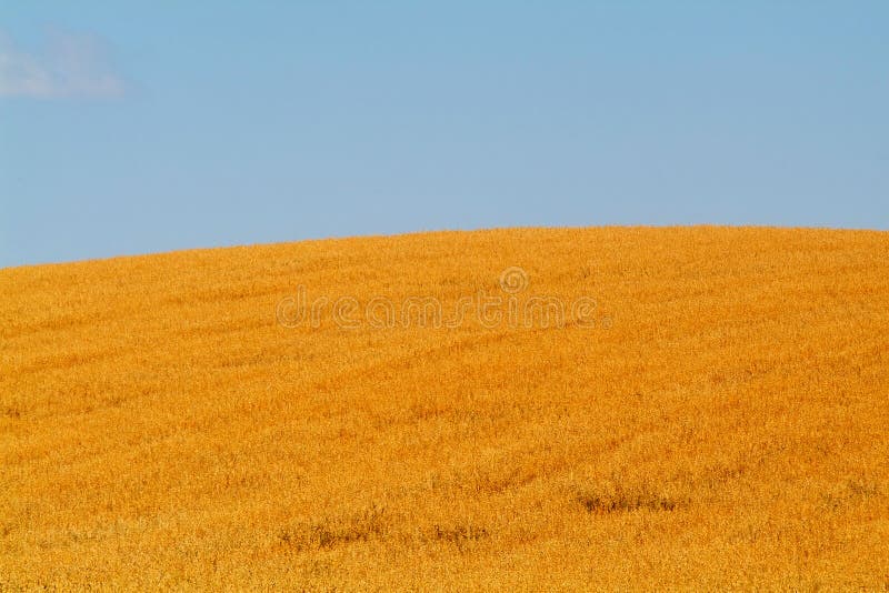 Rural Field Picture. Image: 6156355