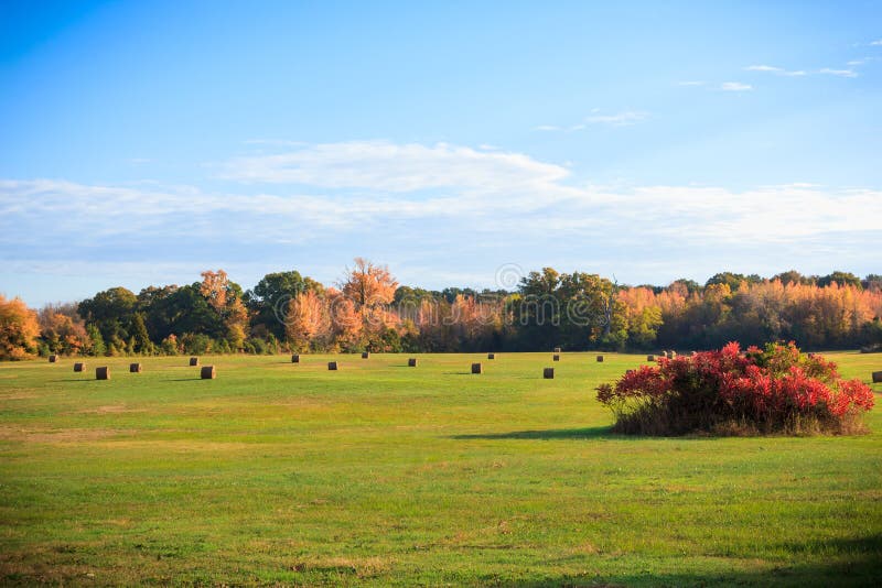 Rural Field with Bales of Hay Stock Image - Image of agriculture ...