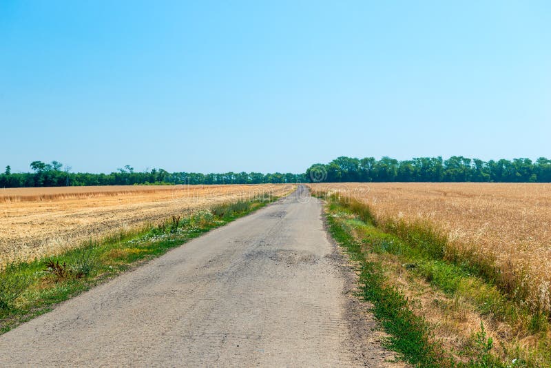 Rural Field Road Scene. Summer Rural Road Stock Image - Image of ...