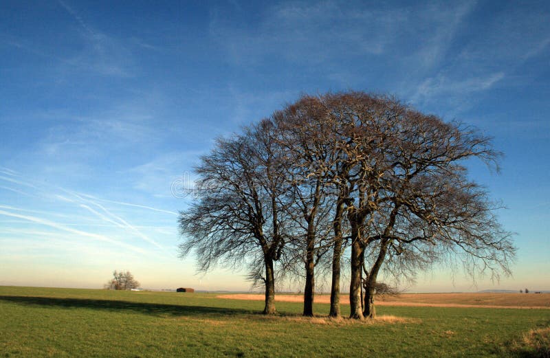 Rural Field Scene in Wiltshre Stock Photo - Image of country, outdoors ...
