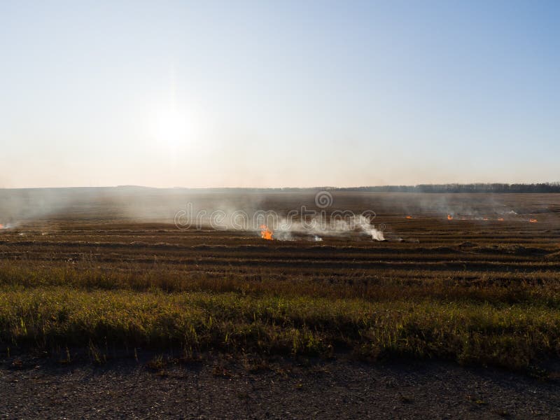 On Rural Fields after Harvesting Straw is Burned Stock Image - Image of ...