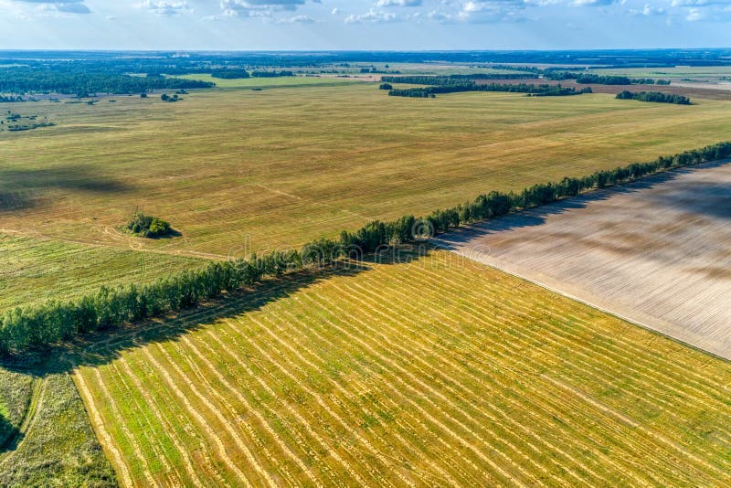 Rural Flat Landscape. Fields Separated by Forest Belts Stock Image ...