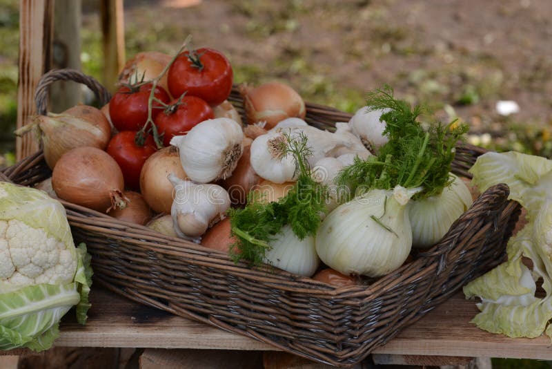 Rural Food Basket stock image. Image of goods, healthy - 53634199