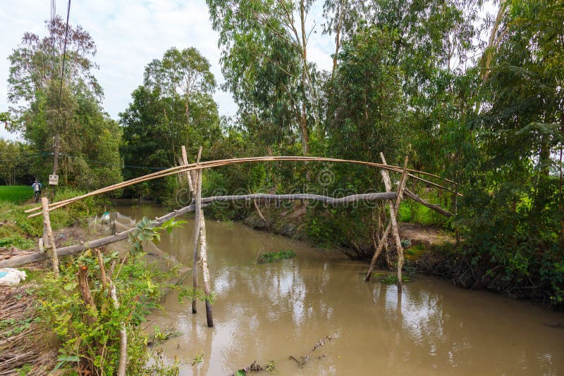 Rural Footbridge of Sticks and Tree Branches Stock Photo - Image of ...