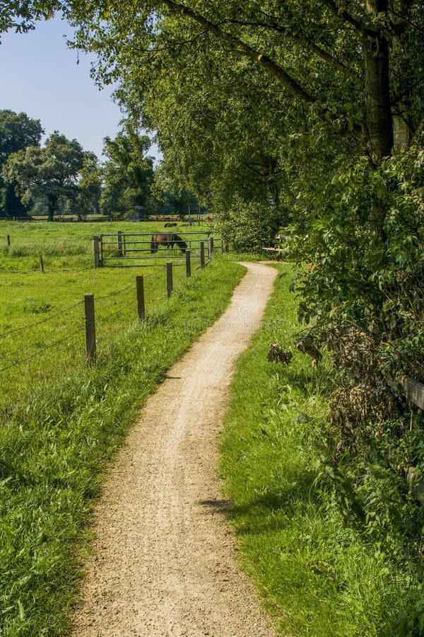 Rural footpath stock photo. Image of trees, trip, walking - 29182476