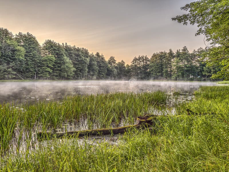 Rural Lake in Sullivan County Stock Photo - Image of forest, mist: 99078806