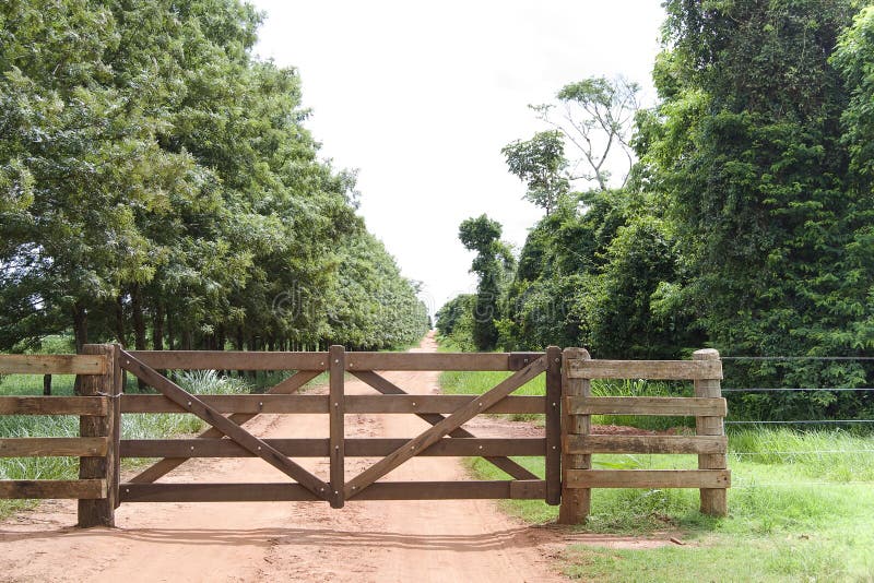 Farm Gate stock image. Image of grass, latin, wood, farm - 28989171