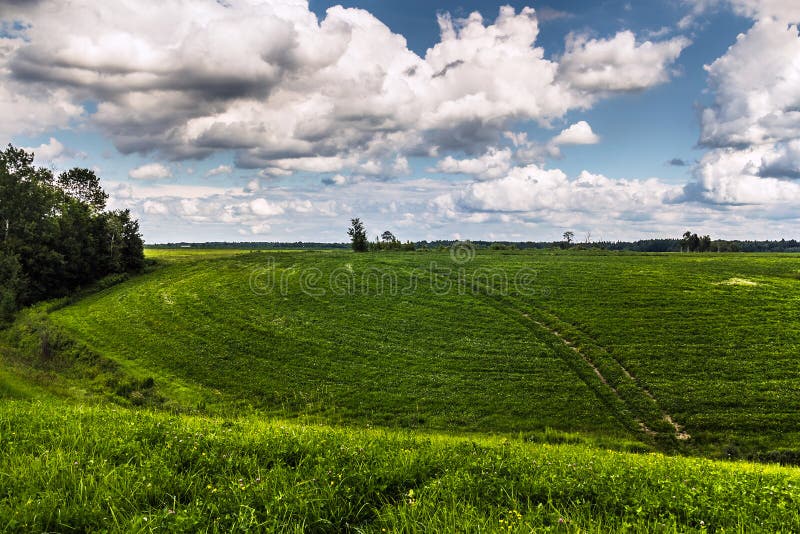 Rural Grass Field Landscape Stock Image - Image of agriculture, spring ...