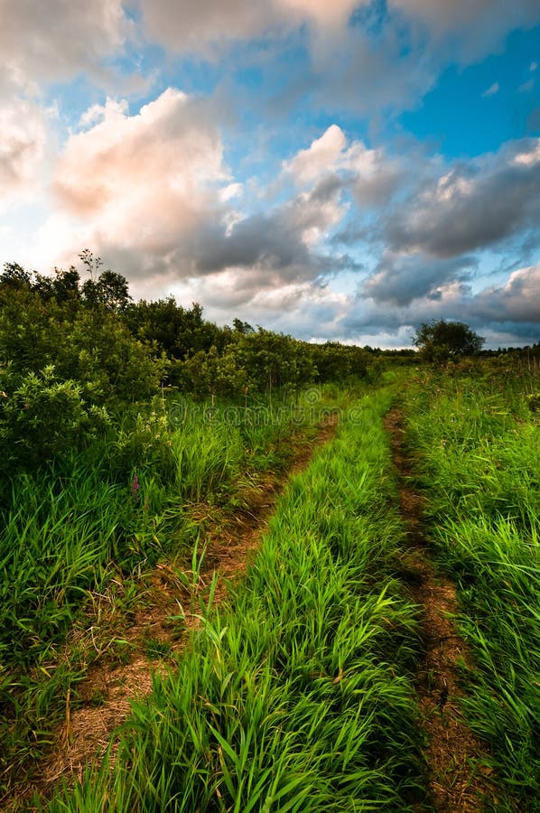Rural Grass Way Tracks at Sunrise Stock Image - Image of dramatic ...