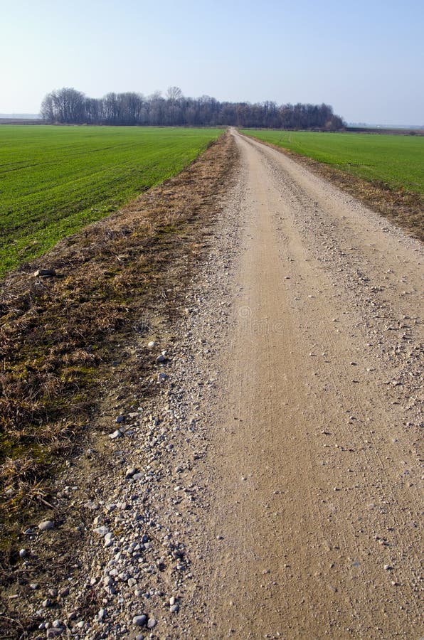 Rural Gravel Road between Agricultural Fields Stock Image - Image of ...