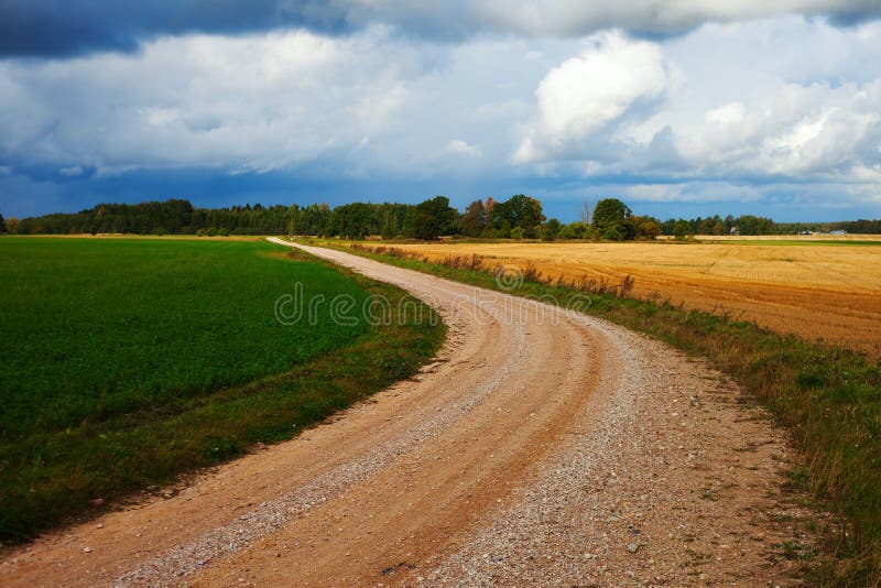 Rural gravel road. stock image. Image of nature, roadside - 33703189