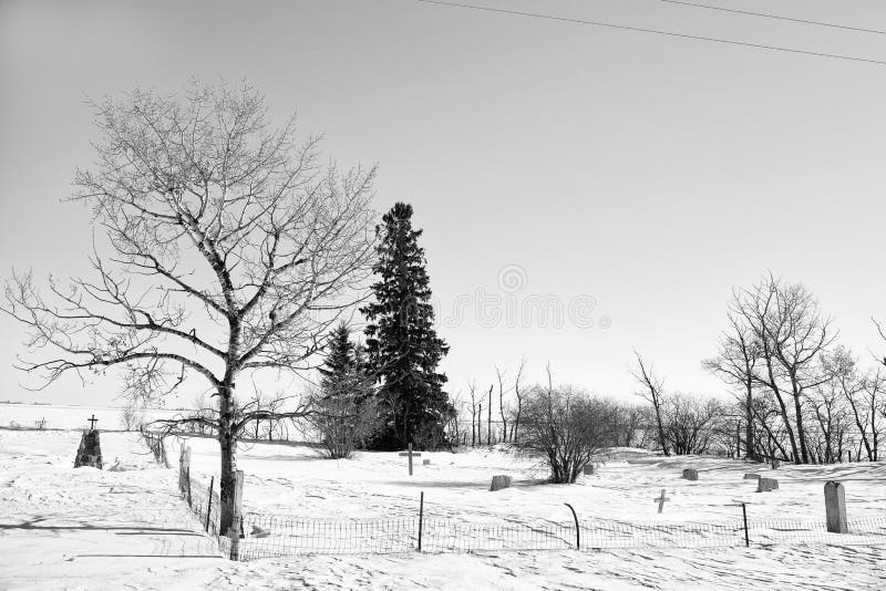 Old Rural Graveyard with Wooden Headstones Utah Stock Photo - Image of ...