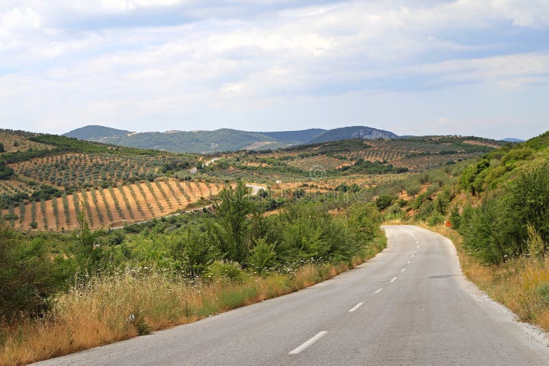 Rural Greece stock photo. Image of rural, plants, road - 31392134