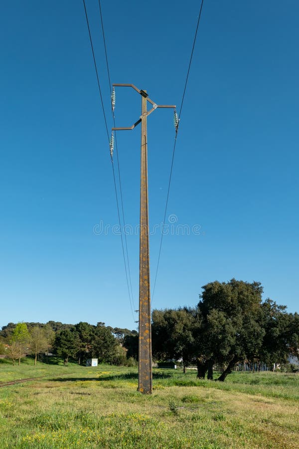 Rural Harmony: between a Green Field, an Electric Pole and High Voltage ...