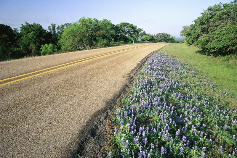 Rural highway stock photo. Image of horizon, country - 23163016