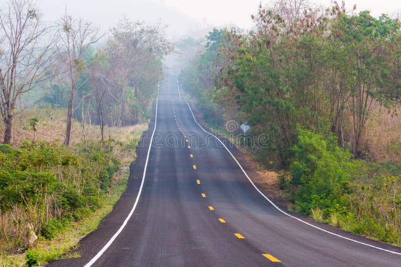 Rural Highway through the Forest Stock Image - Image of rural, outdoor ...