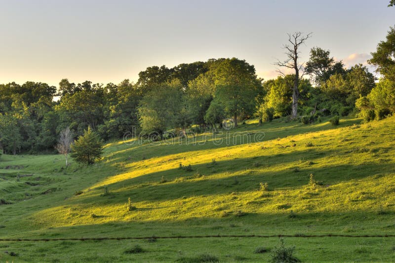 Rural hillside stock photo. Image of copse, blue, meadow - 82165058