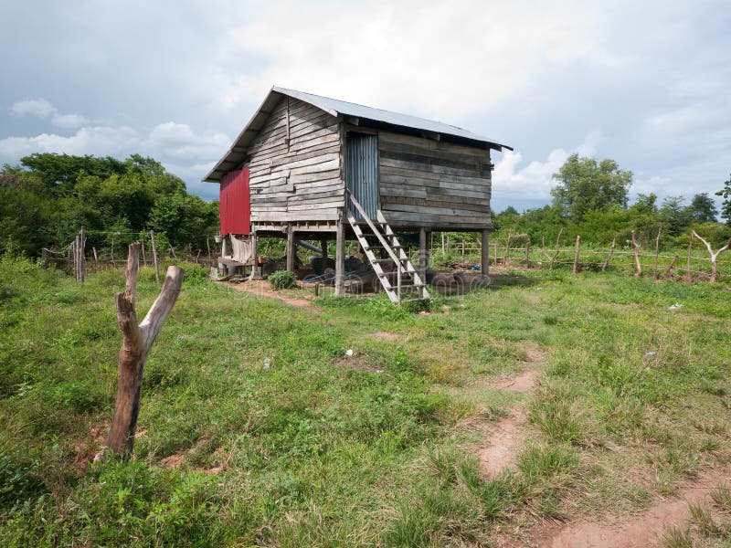 Rural home in Cambodia stock photo. Image of field, stilt - 26464534