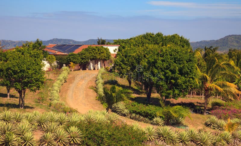 Rural Home in Costa Rica stock image. Image of garden - 17821951