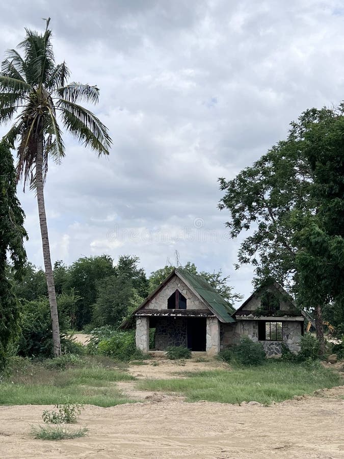Rural House with a Coconut Trees in India Stock Photo - Image of ...