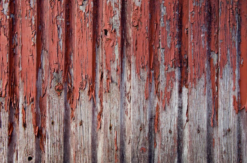 Old Red Barn with Peeling Paint and Vines Stock Photo - Image of ...