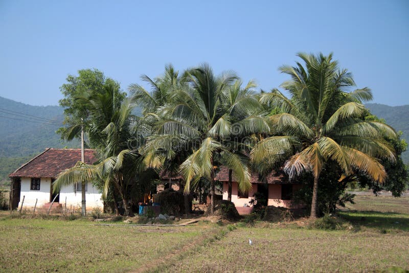 Rural houses stock image. Image of trees, kerala, housing - 12469877