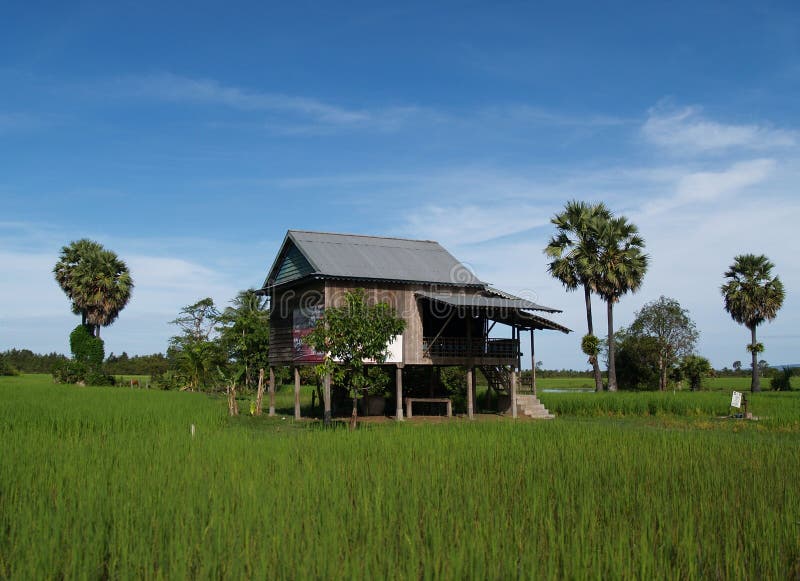 Rural houses in Cambodia stock photo. Image of reap, building - 9086192
