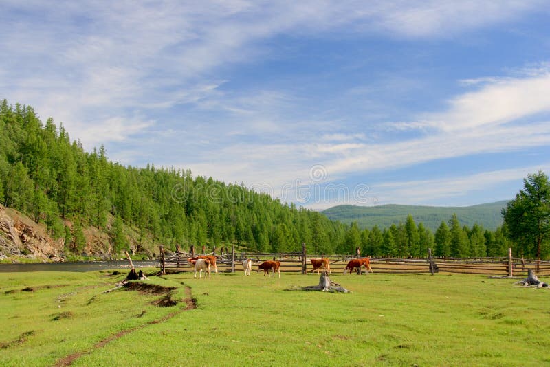 Rural idyll stock photo. Image of hill, life, horizontal - 4159394