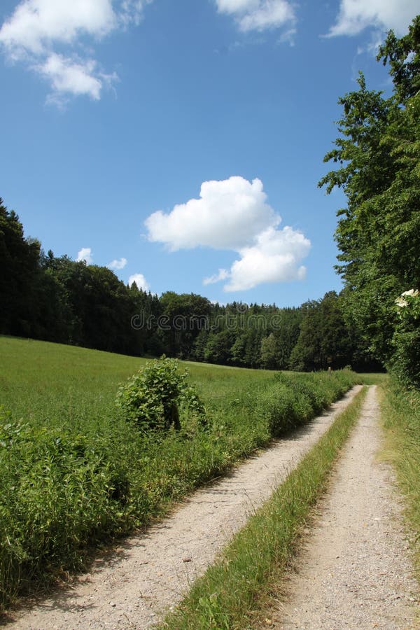 A rural idyll stock image. Image of bush, netherlands - 19948241