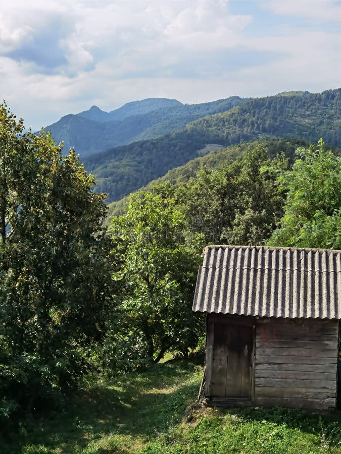 Rural idyll stock image. Image of house, flower, nature - 261688695