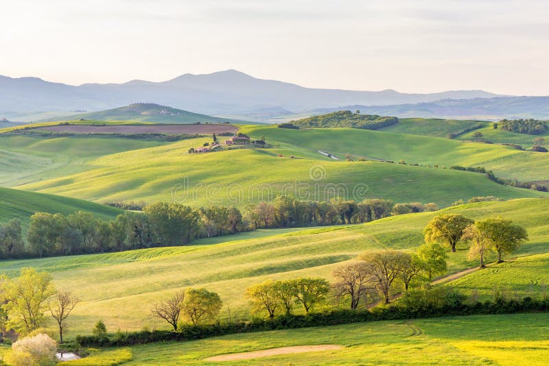 Rural Idyll with Rolling Hills Stock Image - Image of tree, valley ...
