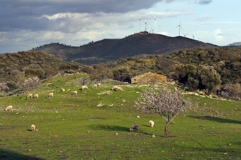 Rural image stock photo. Image of house, forest, cute - 13097054