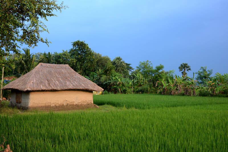 Rural India stock photo. Image of straw, conservation - 61020128