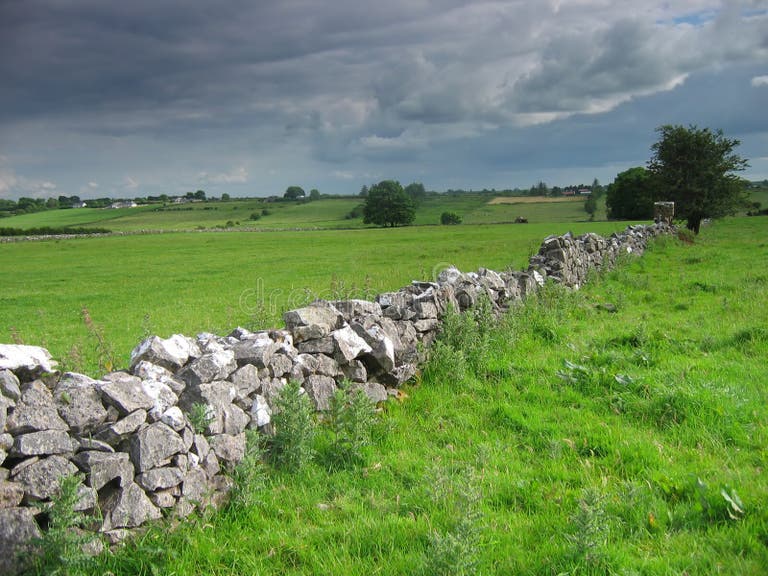 848 Ireland Farm Dairy Cos Stock Photos - Free & Royalty-Free Stock ...