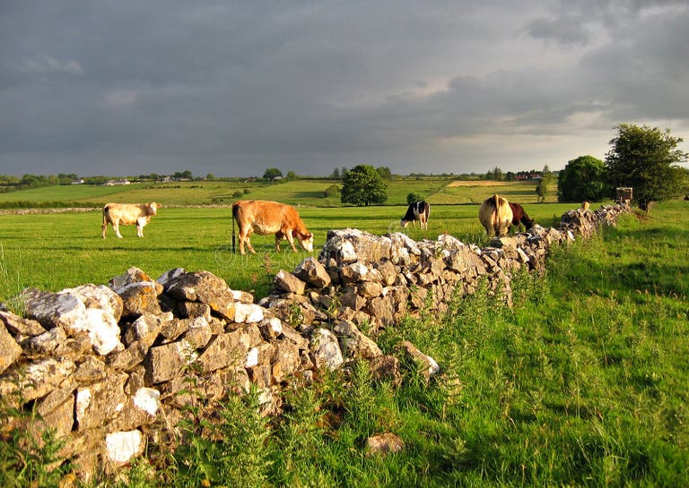 Rural Ireland-grain Visible Stock Image - Image of golden, countryside ...