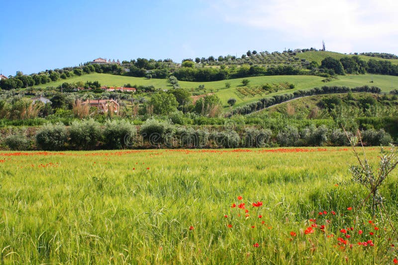 Rural Italian landscape stock photo. Image of green, rustic - 28772548