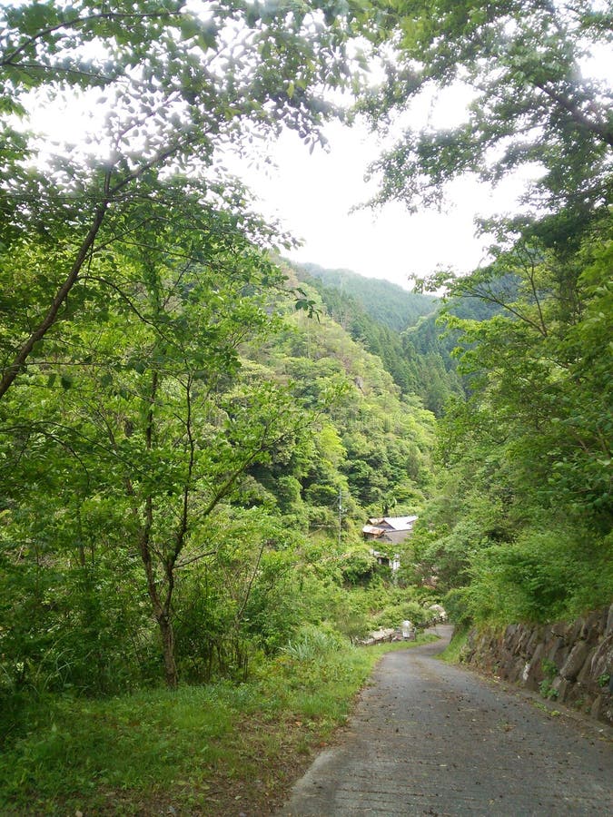 Rural Japan stock photo. Image of rural, japan, woods - 54201626