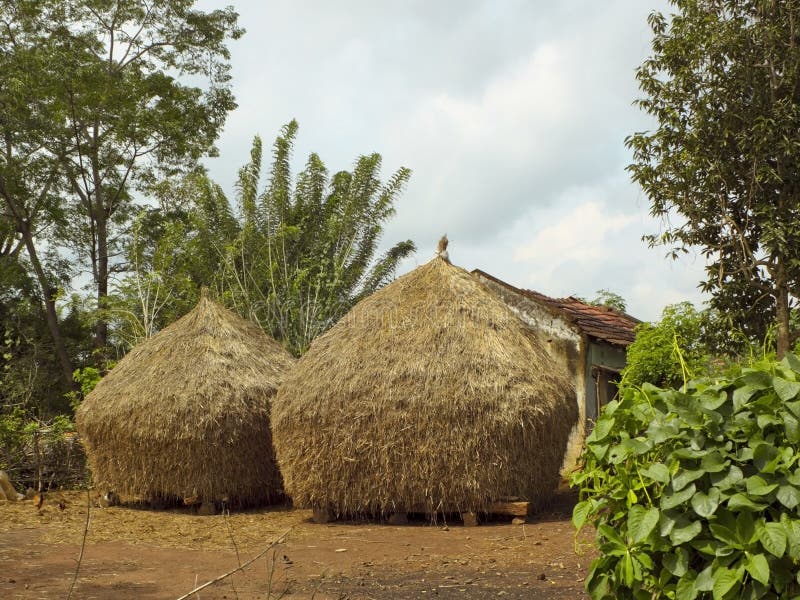 Rural karnataka stock photo. Image of blue, countryside - 11970988
