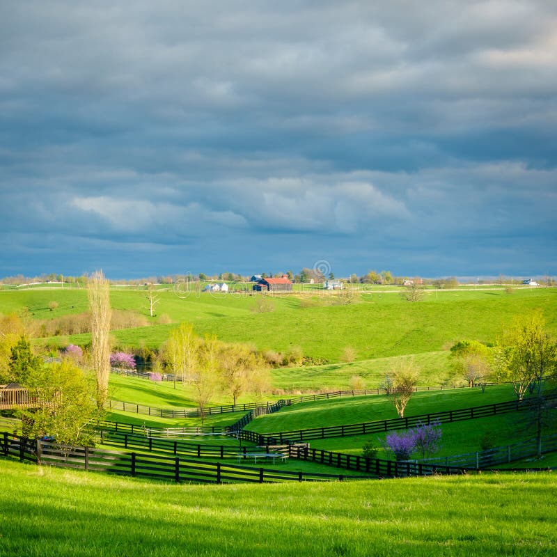 Rural Kentucky stock photo. Image of green, beautiful - 100591070