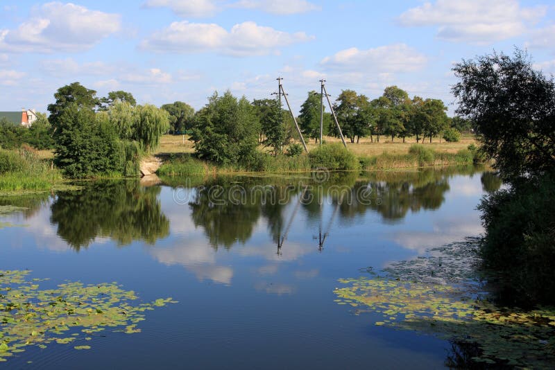 Rural lake stock photo. Image of country, green, summer - 12394416