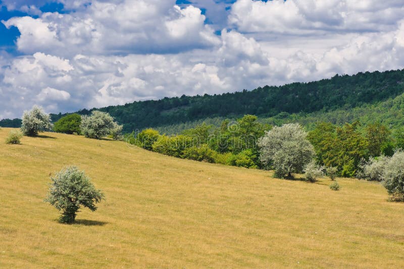 Rural Landscape Picture. Image: 10103043