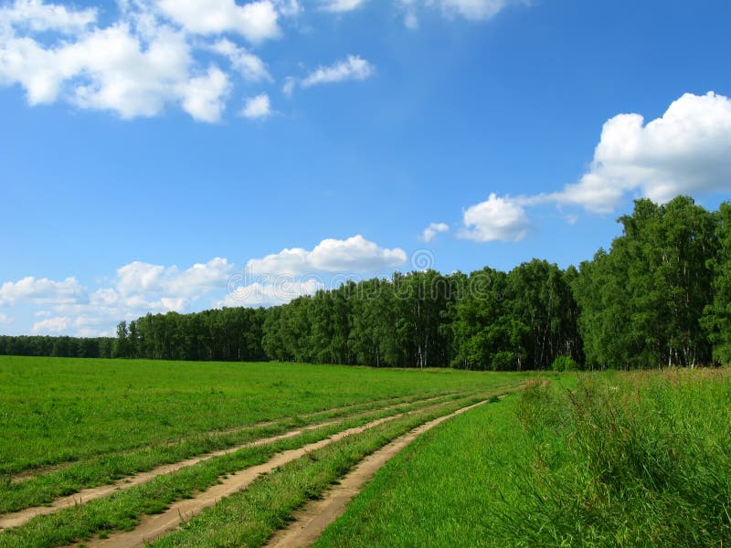 Rural Landscape stock photo. Image of grass, land, dirt - 10741838