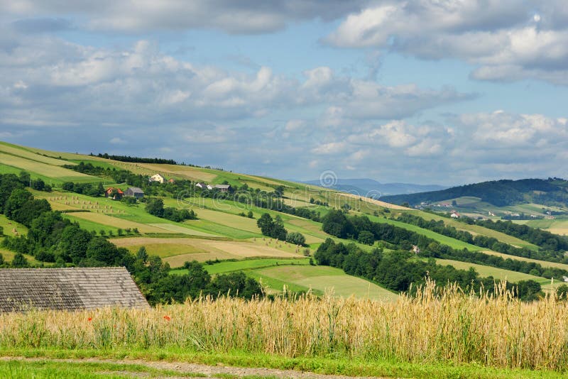 Rural landscape stock photo. Image of hill, field, poland - 11158108