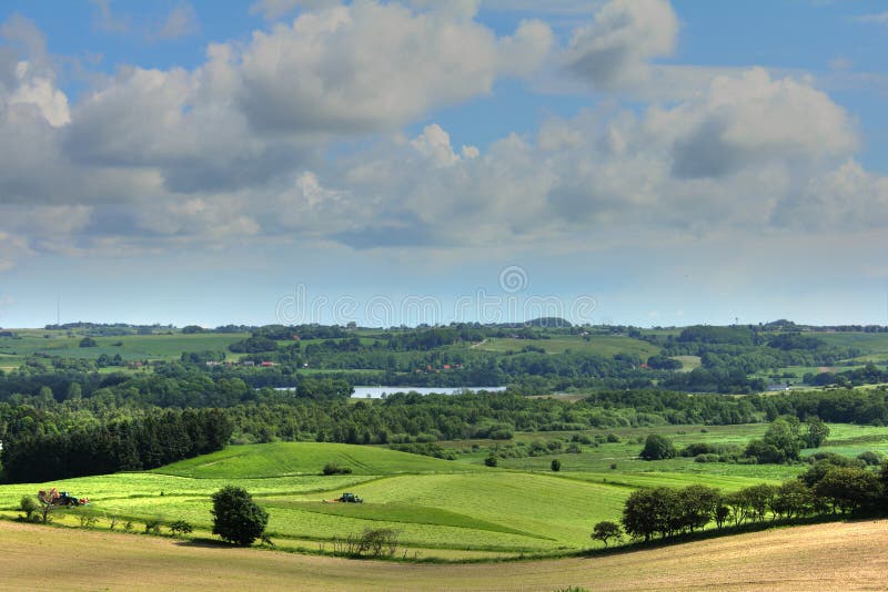 Rural landscape stock photo. Image of farm, country, grain - 14759734