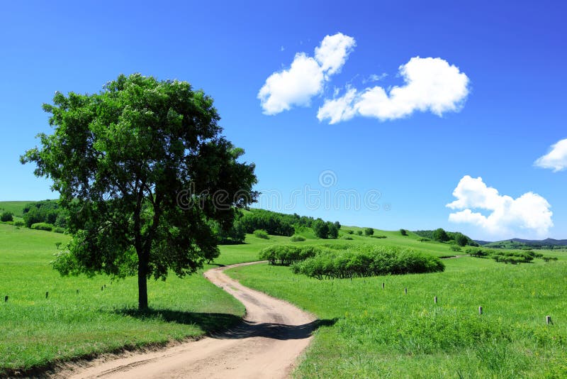 Rural Landscape stock photo. Image of land, plant, area - 15191984