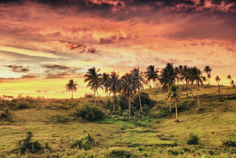 Rural landscape stock photo. Image of country, countryside - 18779696